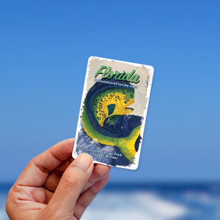 Durable Hard Cards for Outdoor Licenses | Brandt